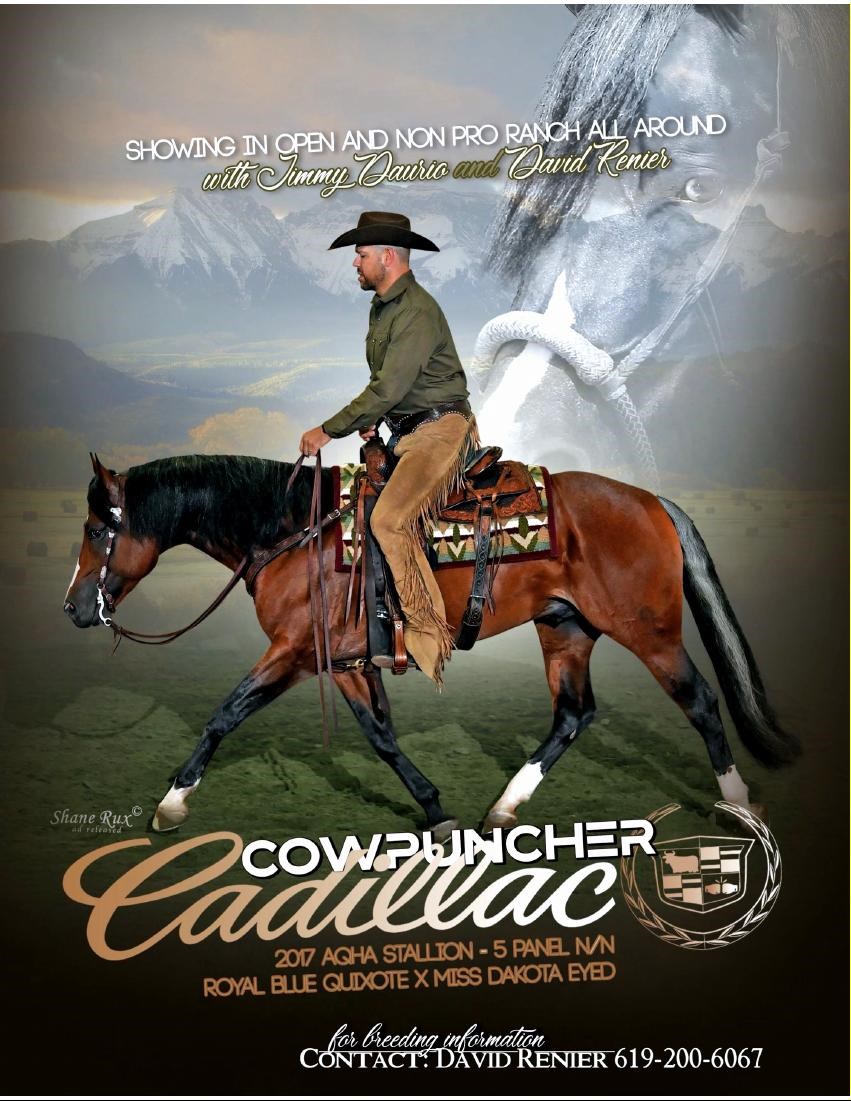 COWPUNCHER CADILLAC